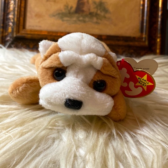 Ty | Toys | Ty Beanie Baby Wrinkles The Bulldog 996 | Poshmark